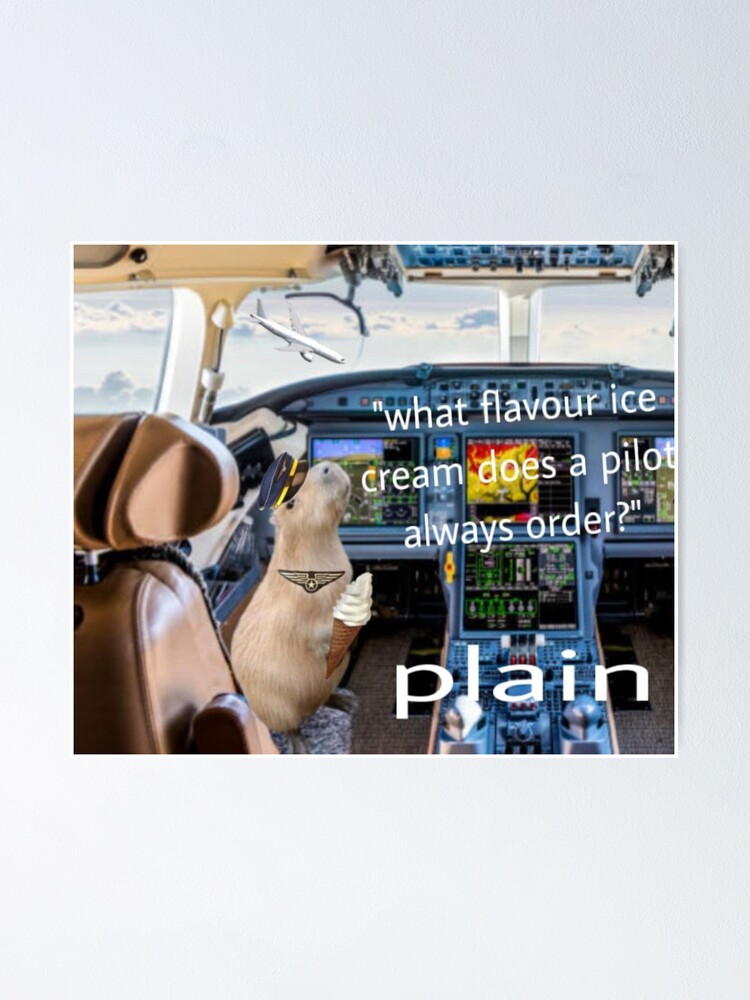 "capybara pilot plane" Poster for Sale by mouldyanimals | Redbubble