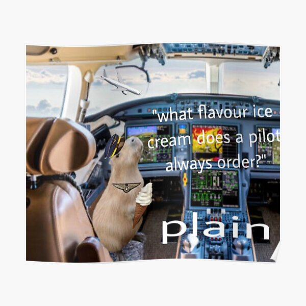 "capybara pilot plane" Poster for Sale by mouldyanimals | Redbubble