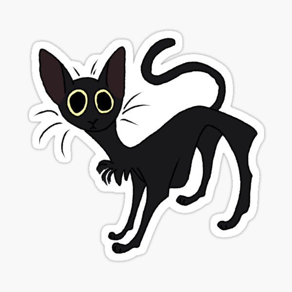 "scraggly black cat in orange" Sticker for Sale by soothsager | Redbubble