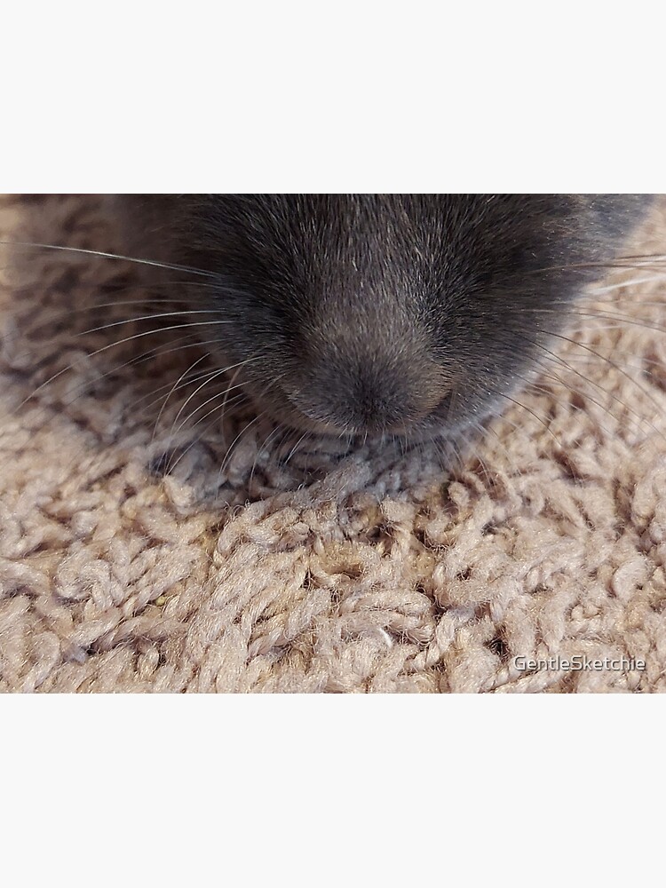 "Snoot" Sticker for Sale by GentleSketchie | Redbubble