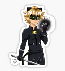 Miraculous Tales of Ladybug and Cat Noir Stickers | Redbubble