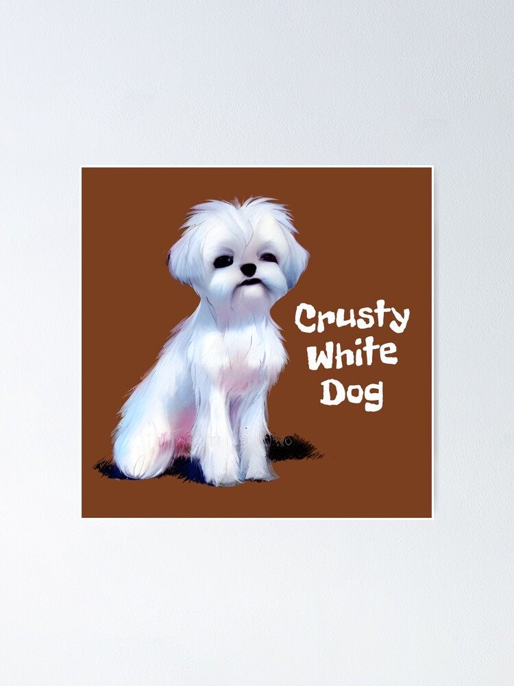 "Cute Little Crusty White Dog with Fluffy Curly Haired" Poster for Sale ...