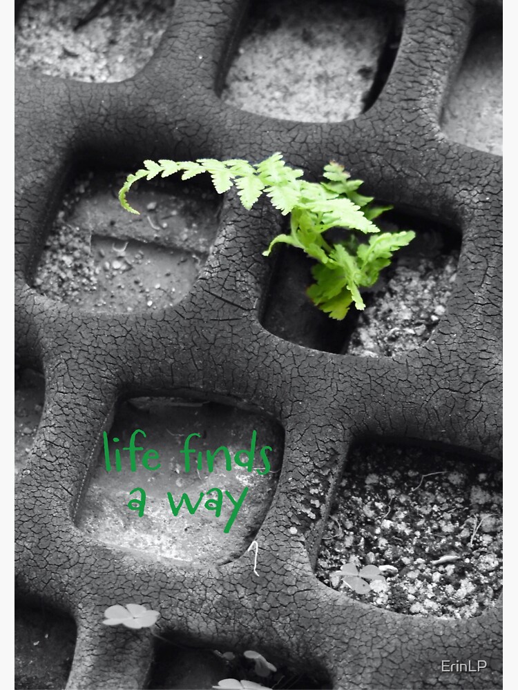 "Life Finds A Way" Sticker for Sale by ErinLP | Redbubble