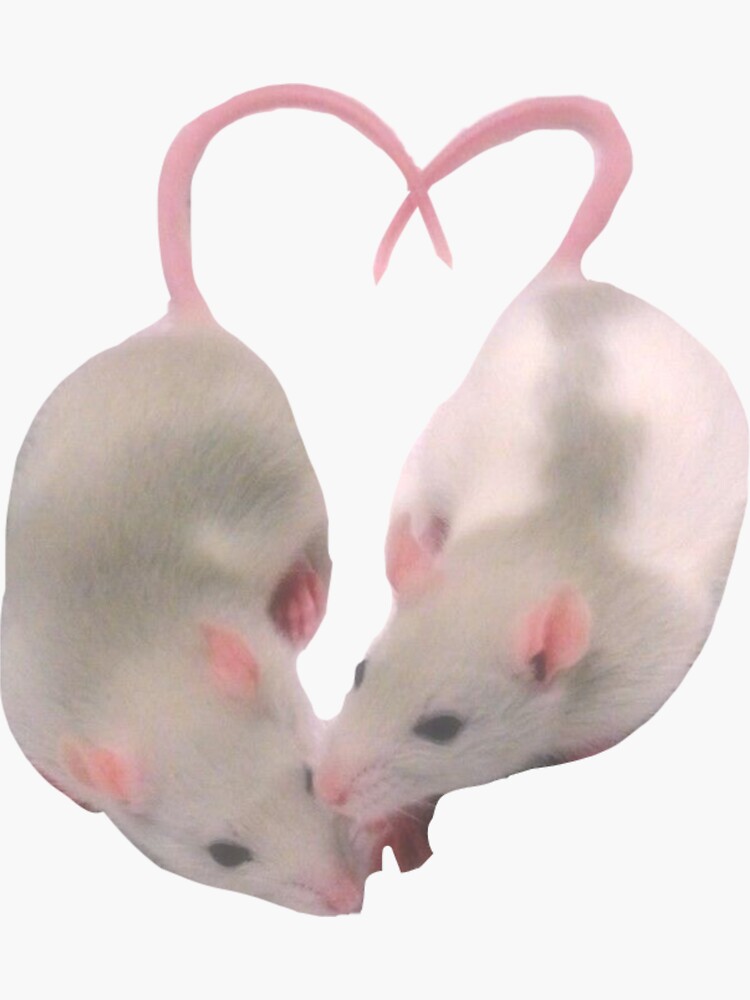 "rat love heart" Sticker for Sale by alexcrewe | Redbubble