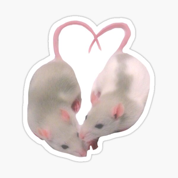 "rat love heart" Sticker for Sale by alexcrewe | Redbubble