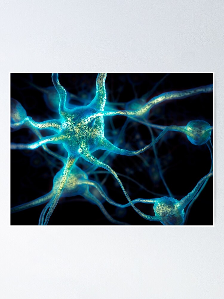 "Neuron network Brain cells art photo print" Poster by ArtNudePhotos ...
