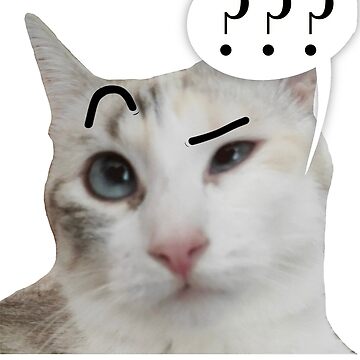 Pegatina for Sale con la obra «Gato meme levantar ceja» de AmaroNeko ...