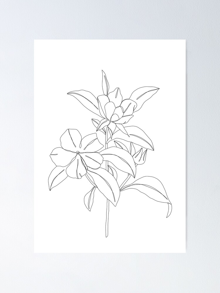 "Floral botanical line drawing - Ariel" Poster for Sale by ...