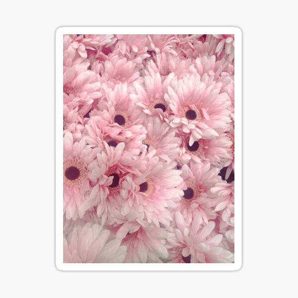 "pink flowers" Sticker for Sale by wa2022 | Redbubble
