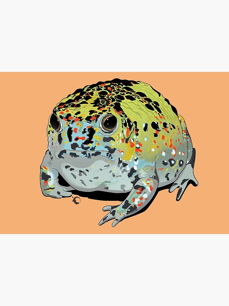 "Rain Frog Crucifix Toad" Poster for Sale by Moo-SB | Redbubble