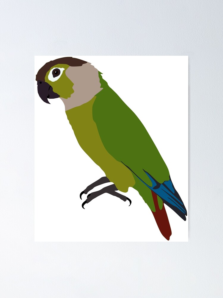 "Green Cheek Conure Vector Illustration" Poster for Sale by TielWithIt ...