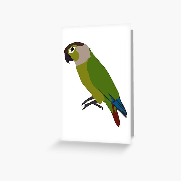 "Green Cheek Conure Vector Illustration" Greeting Card for Sale by ...