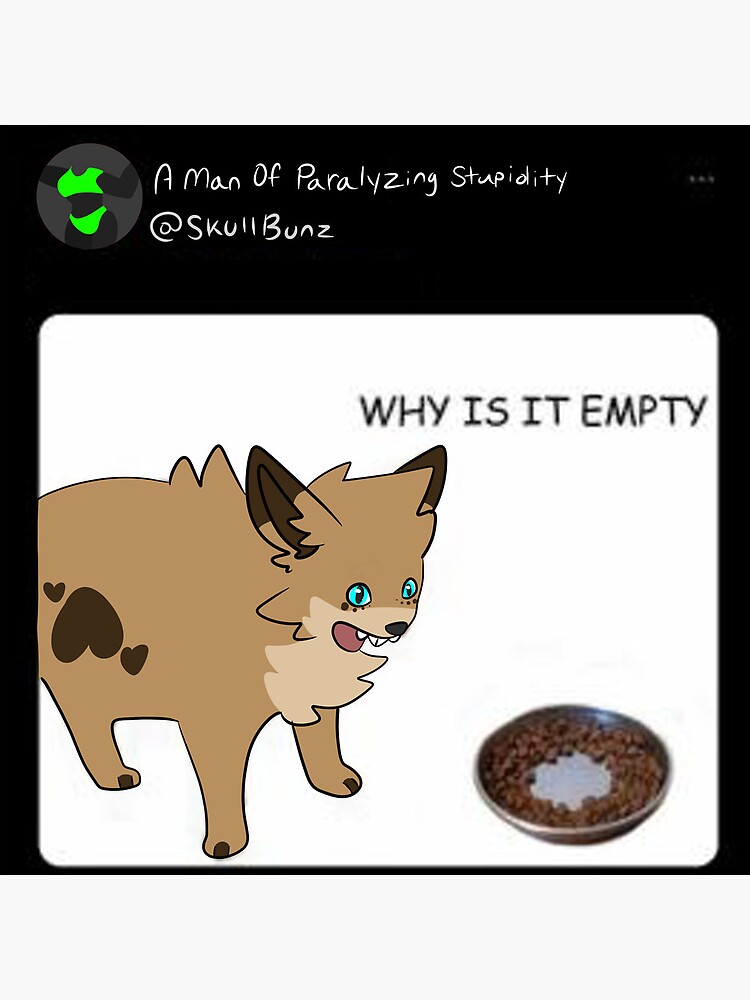 "Skull Bunz Official "WHY IS IT EMPTY" Meme" Canvas Print for Sale by ...