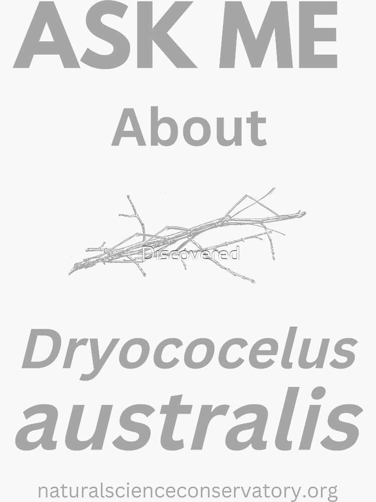 "Ask Me About Dryococelus australis (Lord Howe Island Stick Insect ...