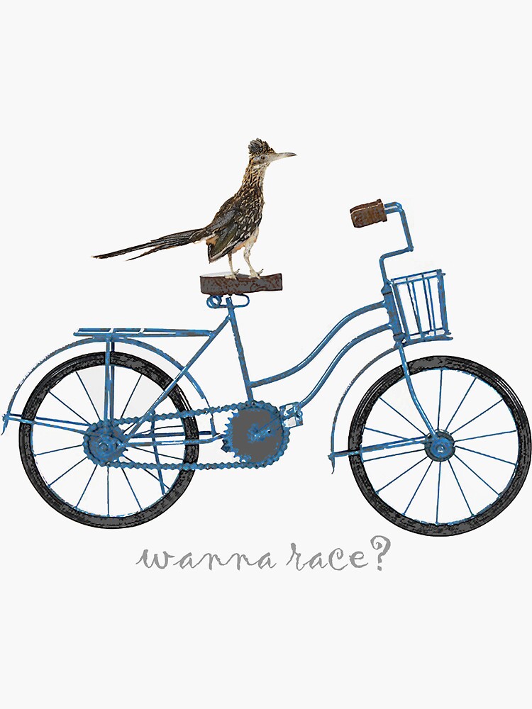 "roadrunner & bicycle" Sticker for Sale by SoulWysh | Redbubble