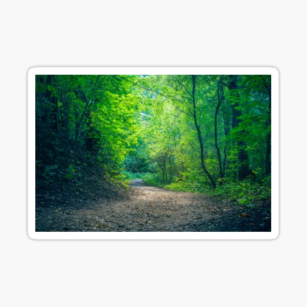 "Mysterious Path Through Forest" Sticker for Sale by Czajnikolandia ...