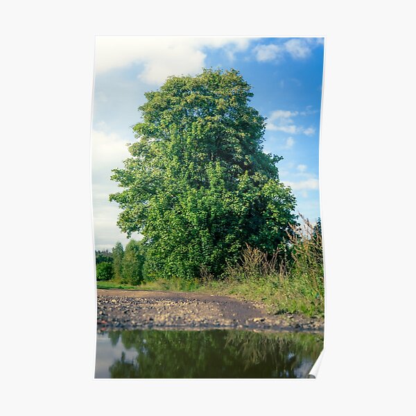 "The Puddle" Poster for Sale by Czajnikolandia | Redbubble