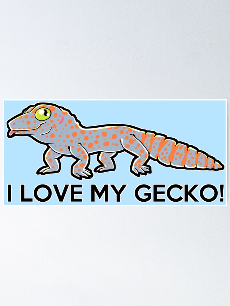 "I Love my Tokay Gecko!" Poster for Sale by Draikinator | Redbubble
