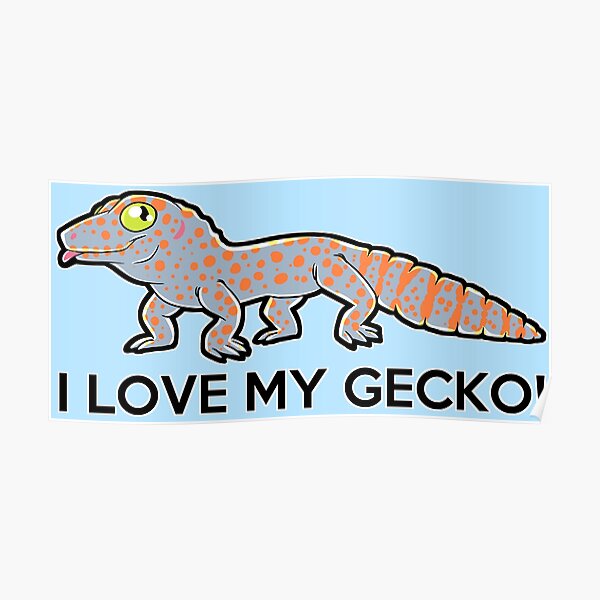 "I Love my Tokay Gecko!" Poster for Sale by Draikinator | Redbubble