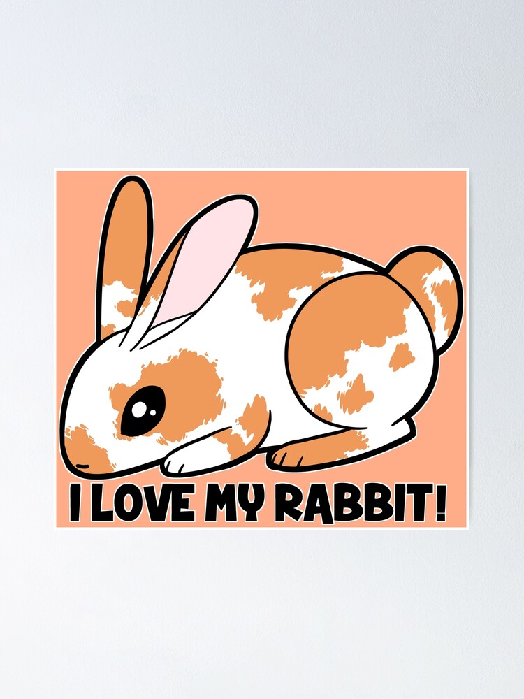 "I Love my Rabbit!" Poster for Sale by Draikinator | Redbubble