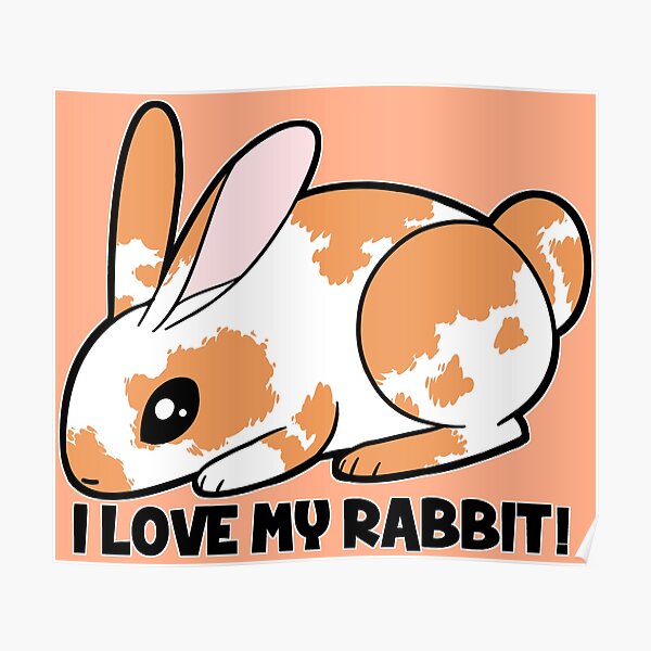 "I Love my Rabbit!" Poster for Sale by Draikinator | Redbubble