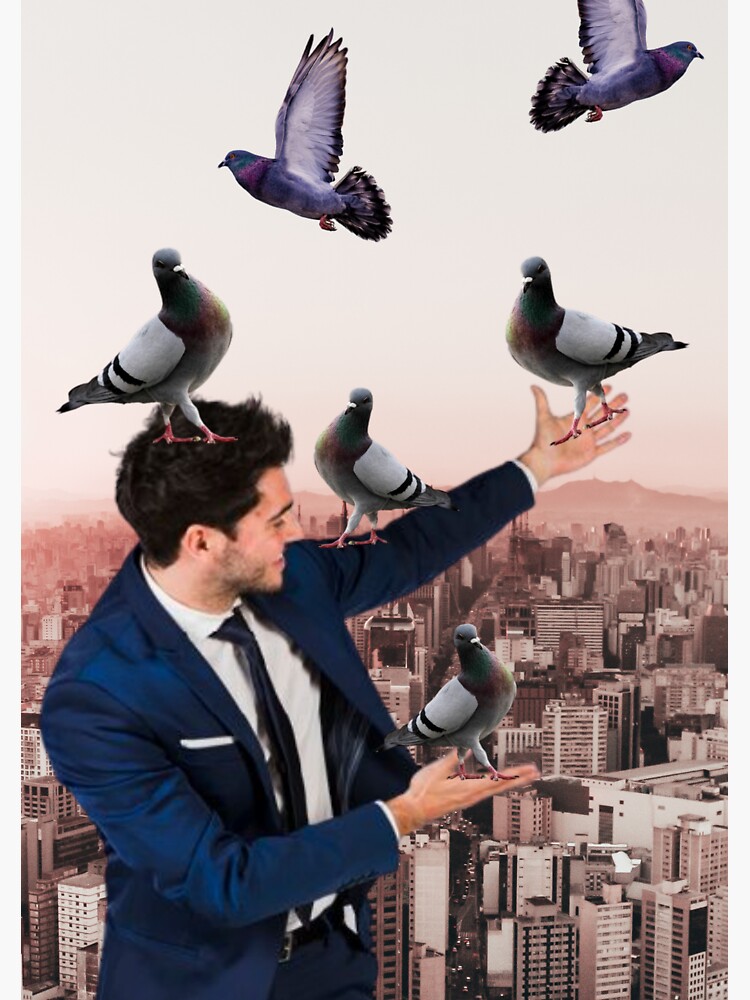 "New YorG pigeons " Sticker for Sale by Elms-designs | Redbubble