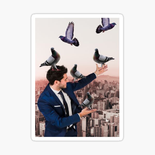 "New YorG pigeons " Sticker for Sale by Elms-designs | Redbubble