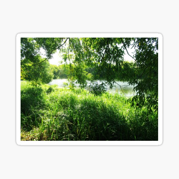"Green landscape photography | Tree grass and water landscape ...