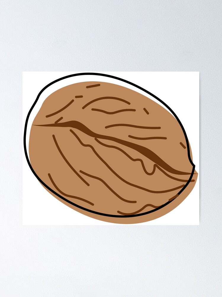 "Walnut Juglans regia allelopathic tree nut" Poster for Sale by ...