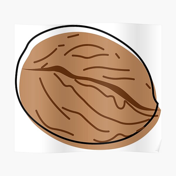 "Walnut Juglans regia allelopathic tree nut" Poster for Sale by ...