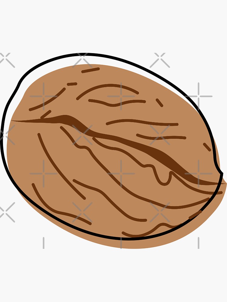 "Walnut Juglans regia allelopathic tree nut" Sticker for Sale by ...