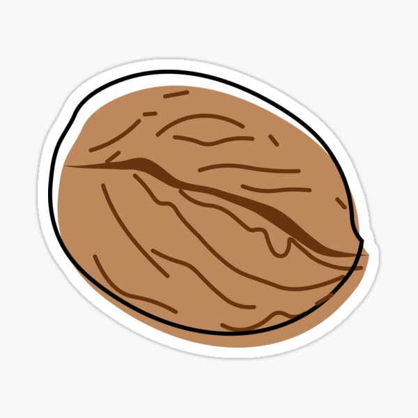 "Walnut Juglans regia allelopathic tree nut" Sticker for Sale by ...
