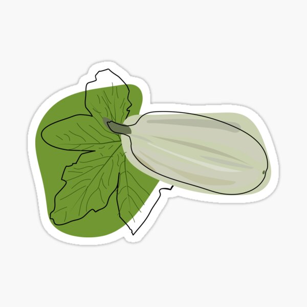 "zucchini white leaf " Sticker for Sale by GoldenLIONVG | Redbubble