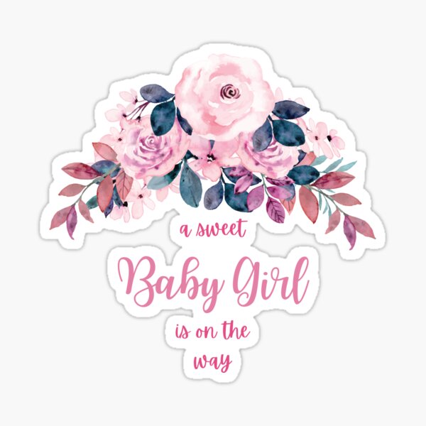 "A Sweet Baby Girl Is On The Way" Sticker for Sale by LunaticArtWork ...
