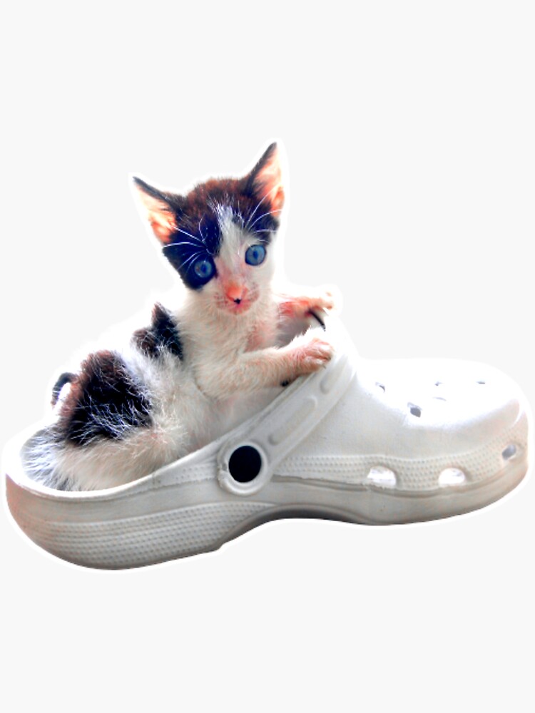 "Crying croc cat" Sticker for Sale by Kenzagts | Redbubble