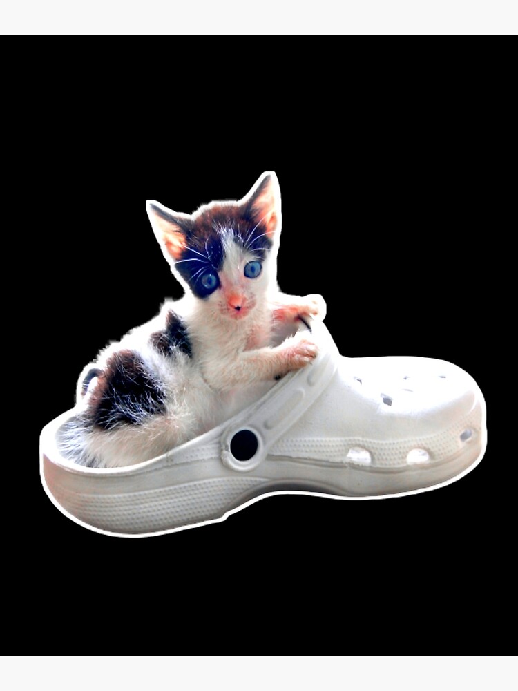 " Crying croc cat" Poster for Sale by Kenzagts | Redbubble