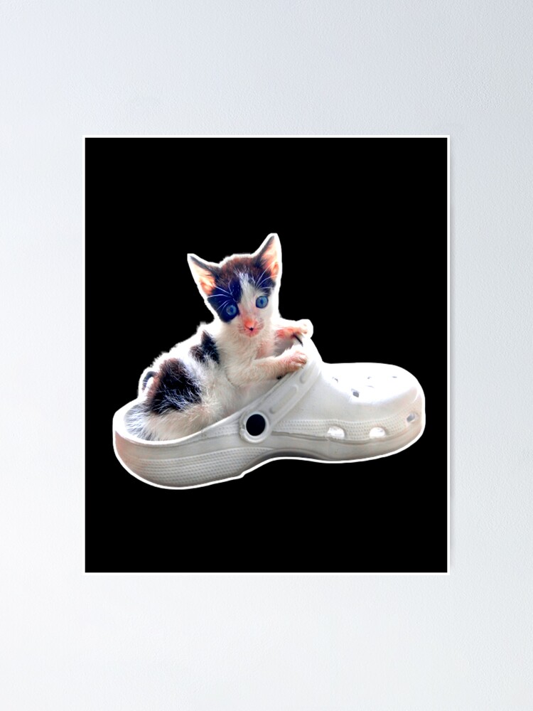 " Crying croc cat" Poster for Sale by Kenzagts | Redbubble