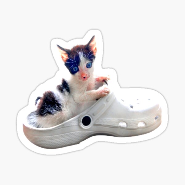 " Crying croc cat" Sticker for Sale by Kenzagts | Redbubble