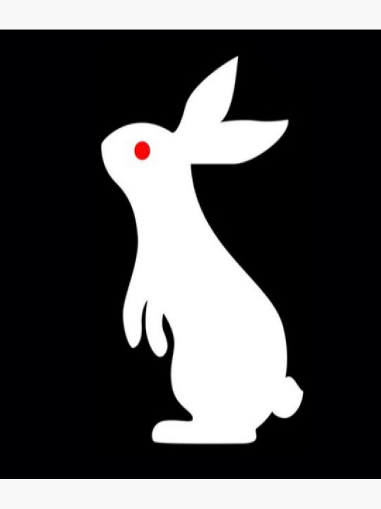 "White Rabbit" Sticker for Sale by Ivanovic9 | Redbubble
