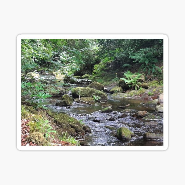 "River" Sticker for Sale by Bart-Designs | Redbubble