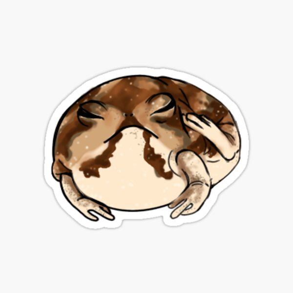 "desert rain frog" Sticker for Sale by nanaatawi | Redbubble