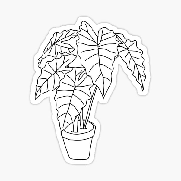 "Alocasia Poly Line Art" Sticker for Sale by Geobloomdesigns | Redbubble