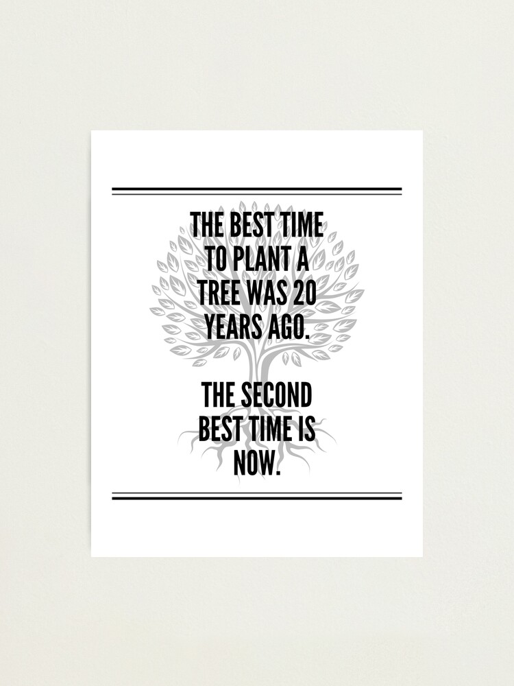 "The best time to plant a tree was 20 years ago. The second best time ...