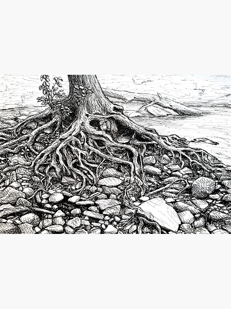 "Finding Your Roots Sketchy Trees Ink Drawing" Sticker for Sale by ...