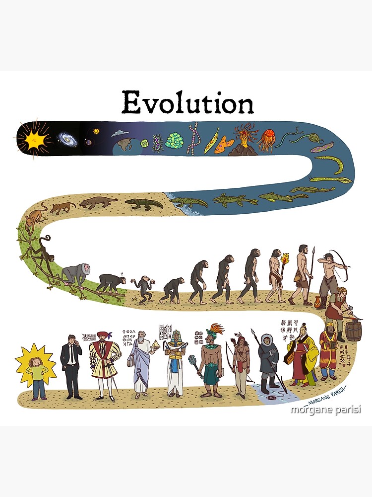 "evolution" Poster for Sale by morgane parisi | Redbubble