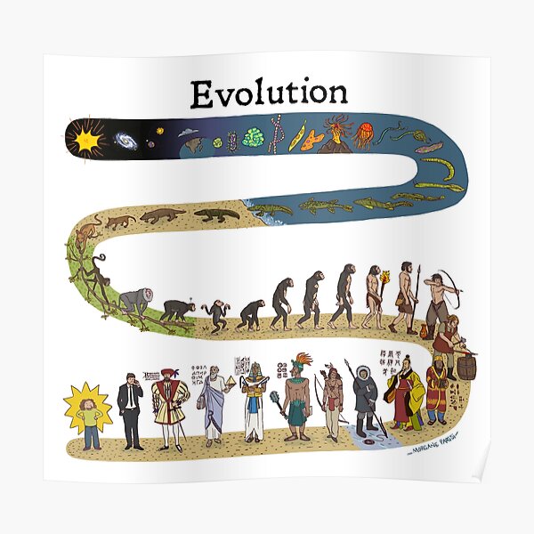 "evolution" Poster for Sale by morgane parisi | Redbubble