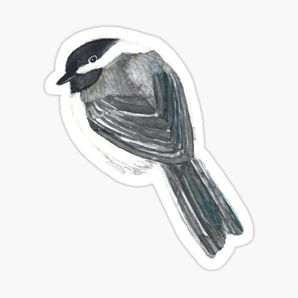 "Black-Capped Chickadee Watercolor Bird" Sticker for Sale by ...