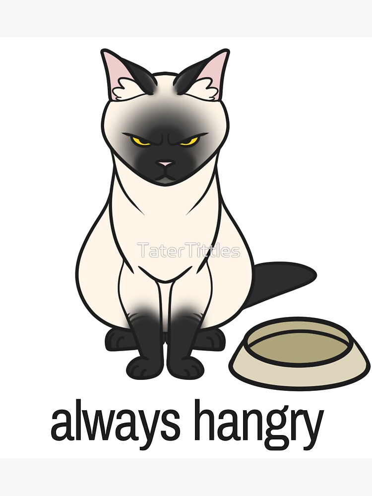 "Always Hangry Siamese Cat Angry Simple Minimalist" Sticker for Sale by ...