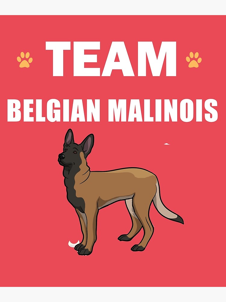 "Team Belgian Malinois" Poster by AlwaysAwesome | Redbubble