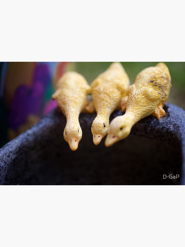 "Three Little Ducks Go Quack Quack Quack" Sticker for Sale by D-GaP ...